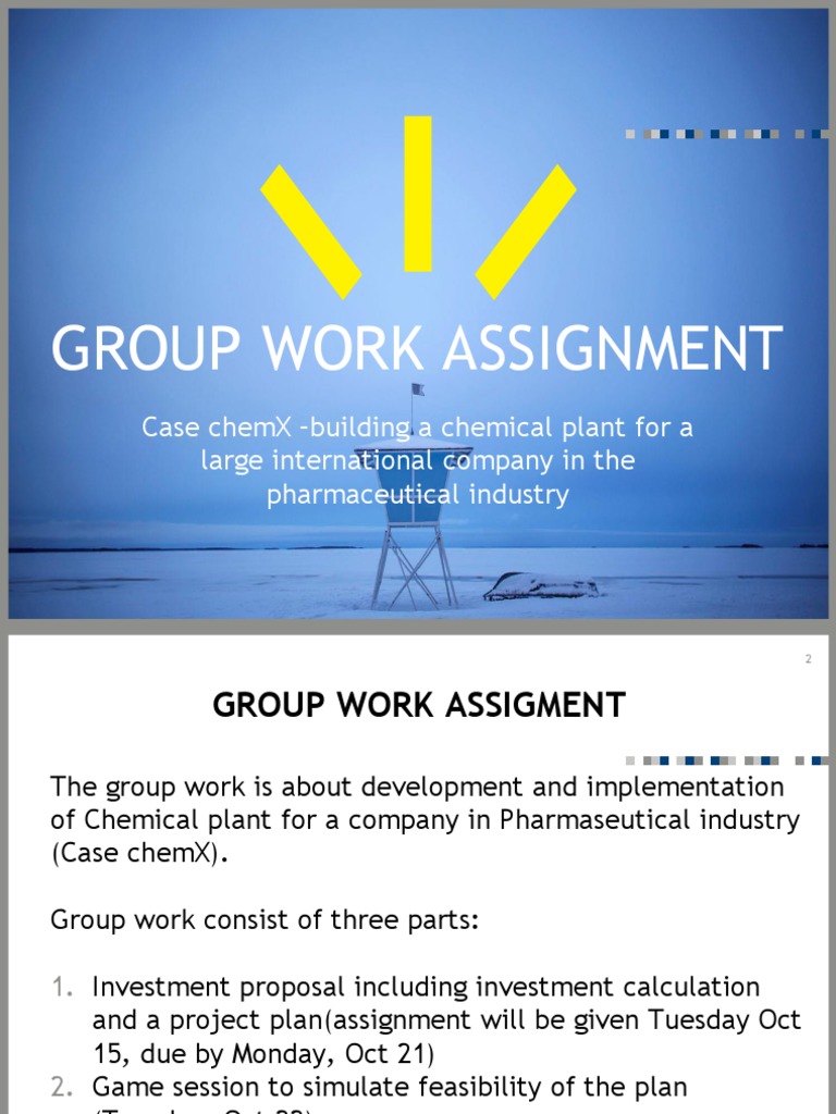 Group Work - Case Chemx | PDF