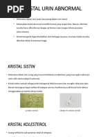Kristal Amorf dalam Urin dan Penyebabnya | PDF
