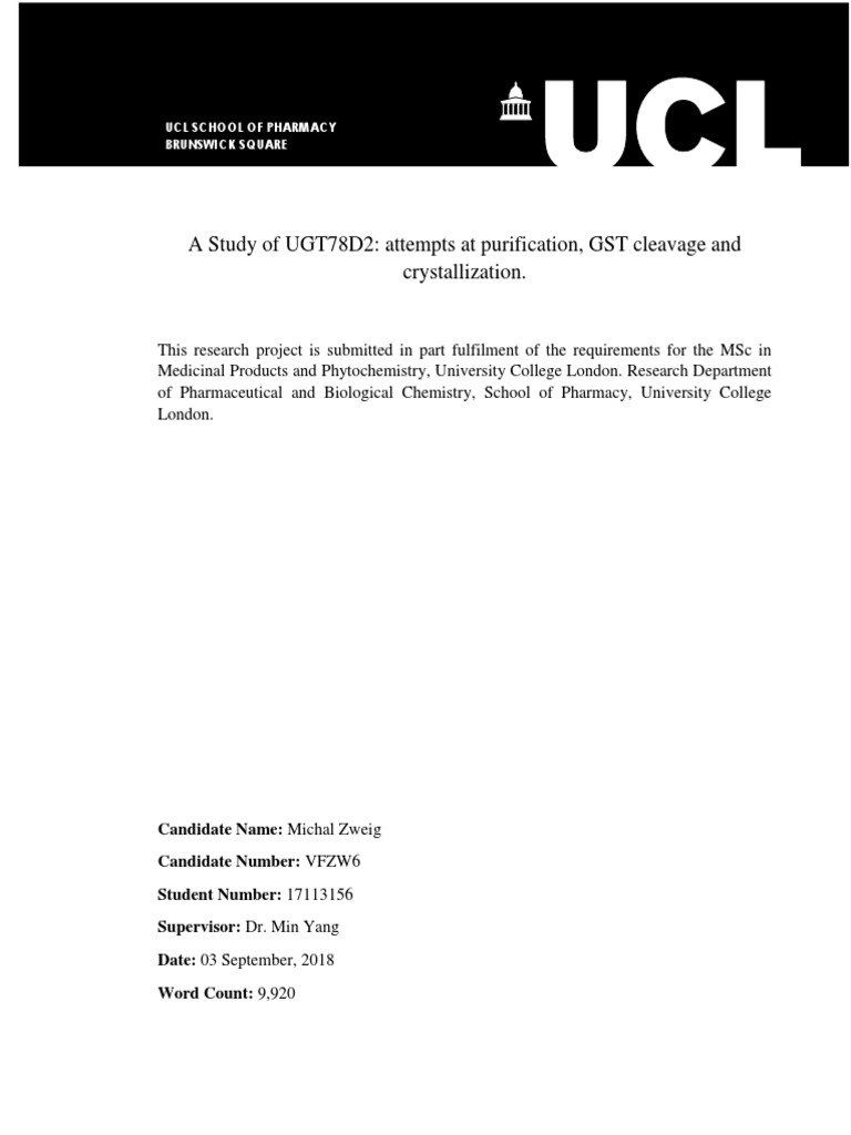 MSC Dissertation Draft | PDF