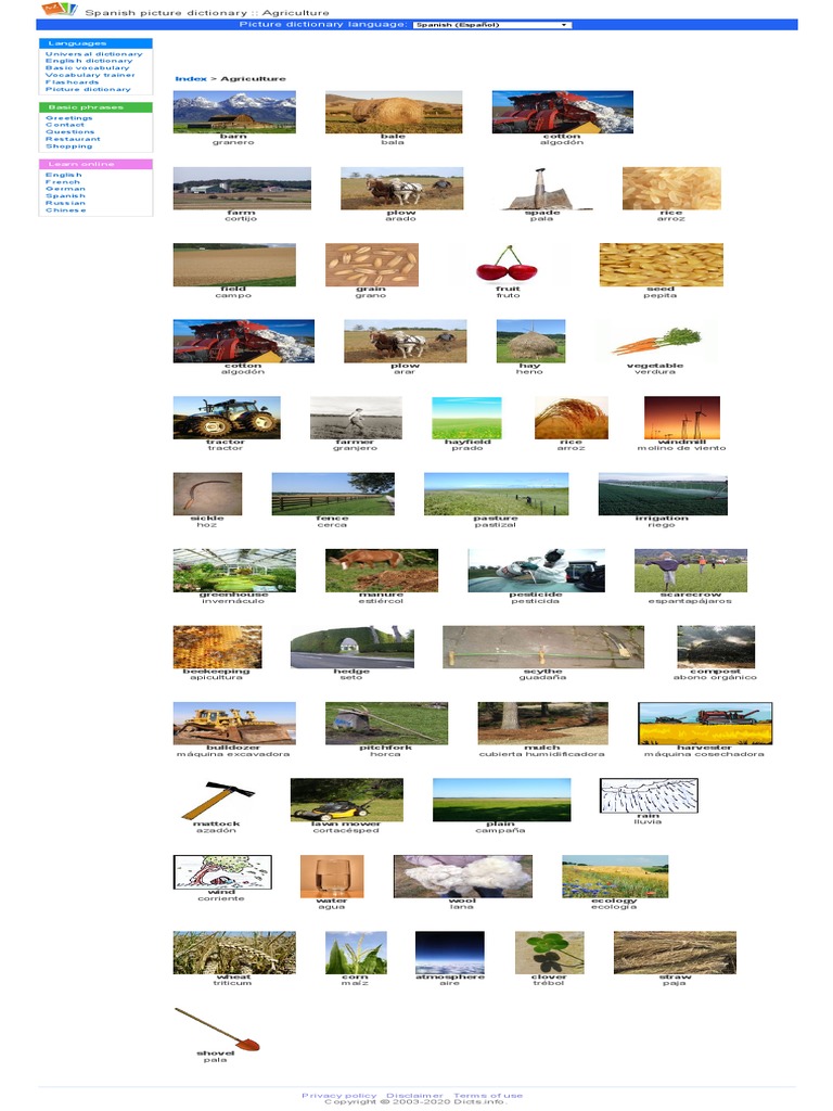 Spanish Picture Dictionary | PDF