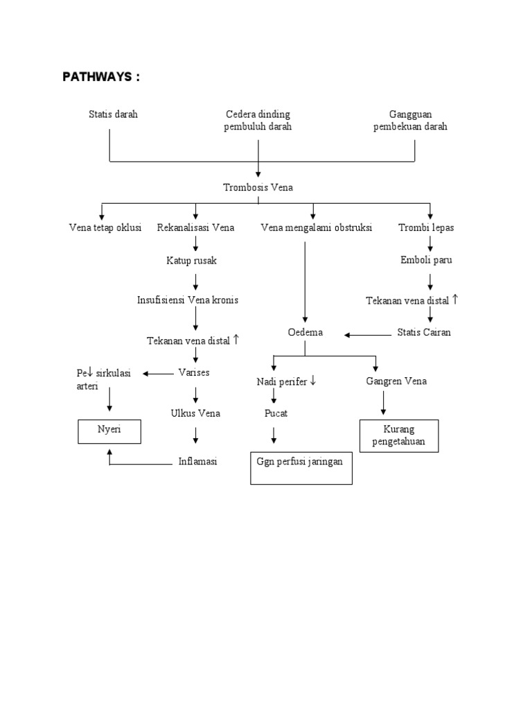 Pathway Trombosis dan Emboli Paru | PDF