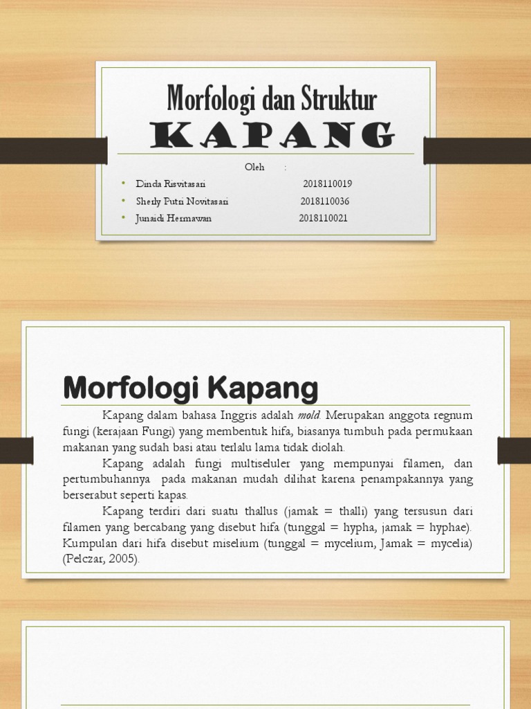 Morfologi Dan Struktur Kapang | PDF