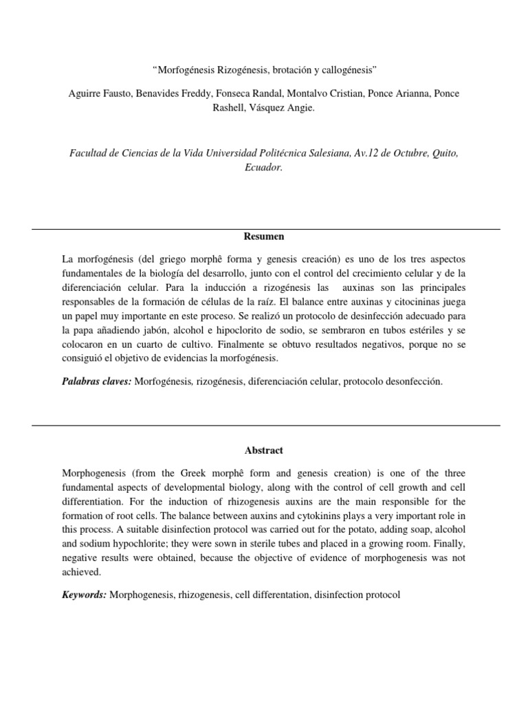 Morfogénesis Rizogénesis, Brotación y Callogénesis | PDF