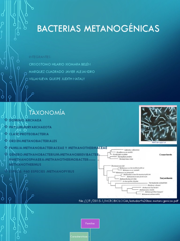 Bacterias Metanogénicas | PDF