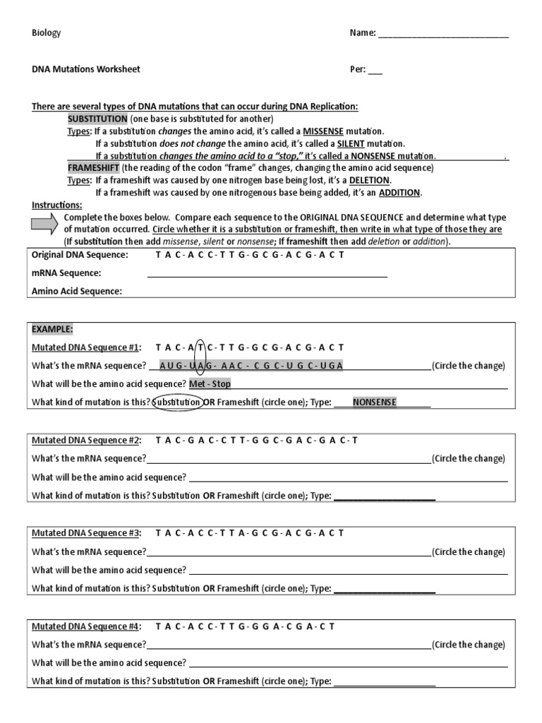 DNA Mutation Types and Analysis Worksheet | PDF
