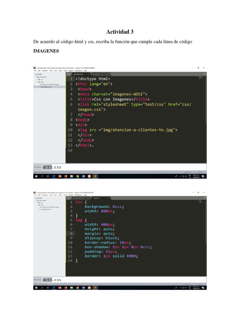 Actividad 3 Codigo HTML y Css | PDF