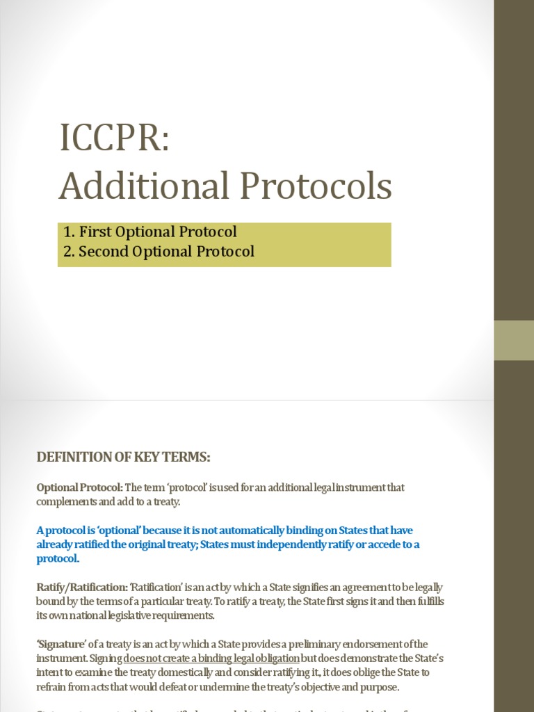 Iccpr Additional Protocols | PDF
