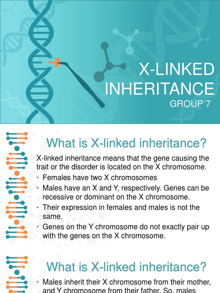 X-Linked Inheritance | PDF
