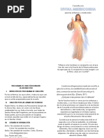 Coronilla de La Divina Misericordia | PDF