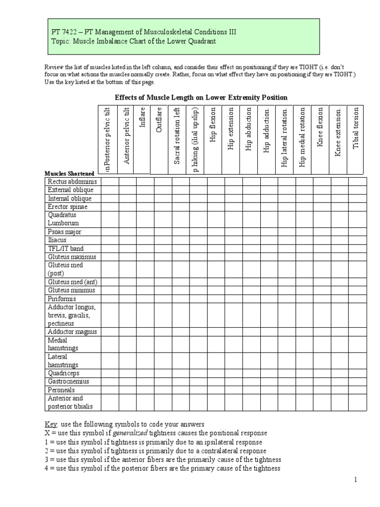 19-Muscle Imbalance Chart of The LQ | PDF | Joints | Soft Tissue