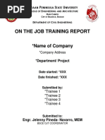 OJT Narrative Report Guidelines | PDF | Cognition