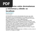 Dermatomas y Miotomas | PDF | Nervio | Sistema musculoesquelético