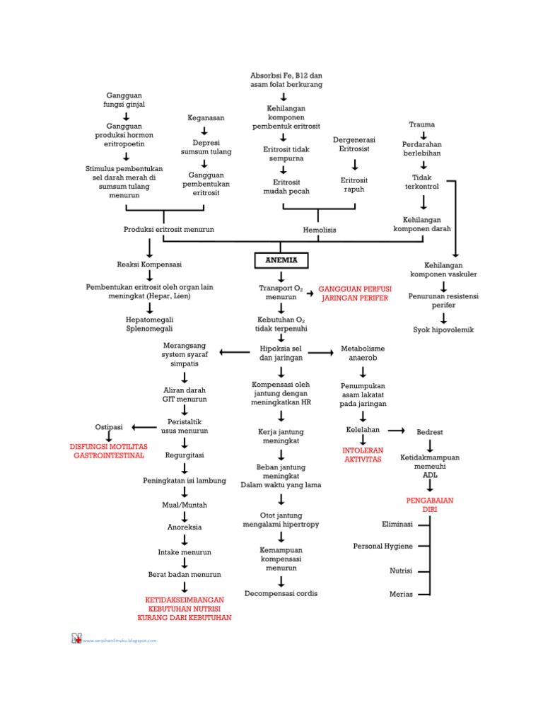 Pathway Anemia | PDF