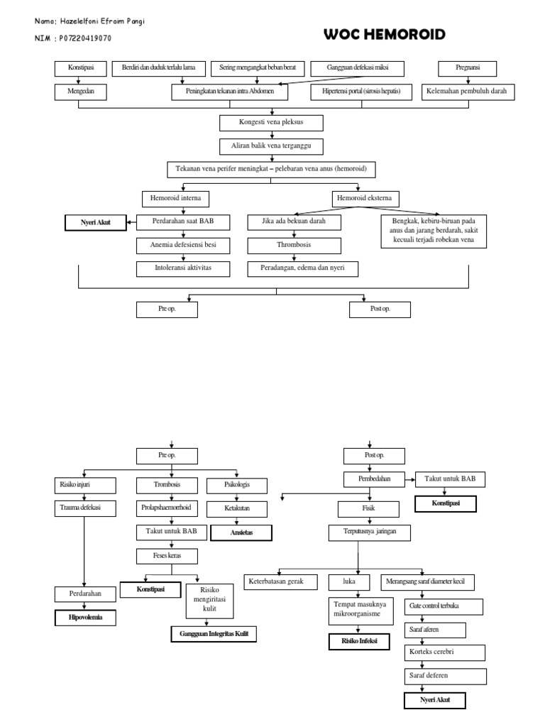 Pathway Hemoroid Pasca Operasi | PDF