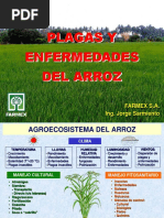 Taller de Bioinsecticidas | PDF | Control biológico de plagas | Plaga ...