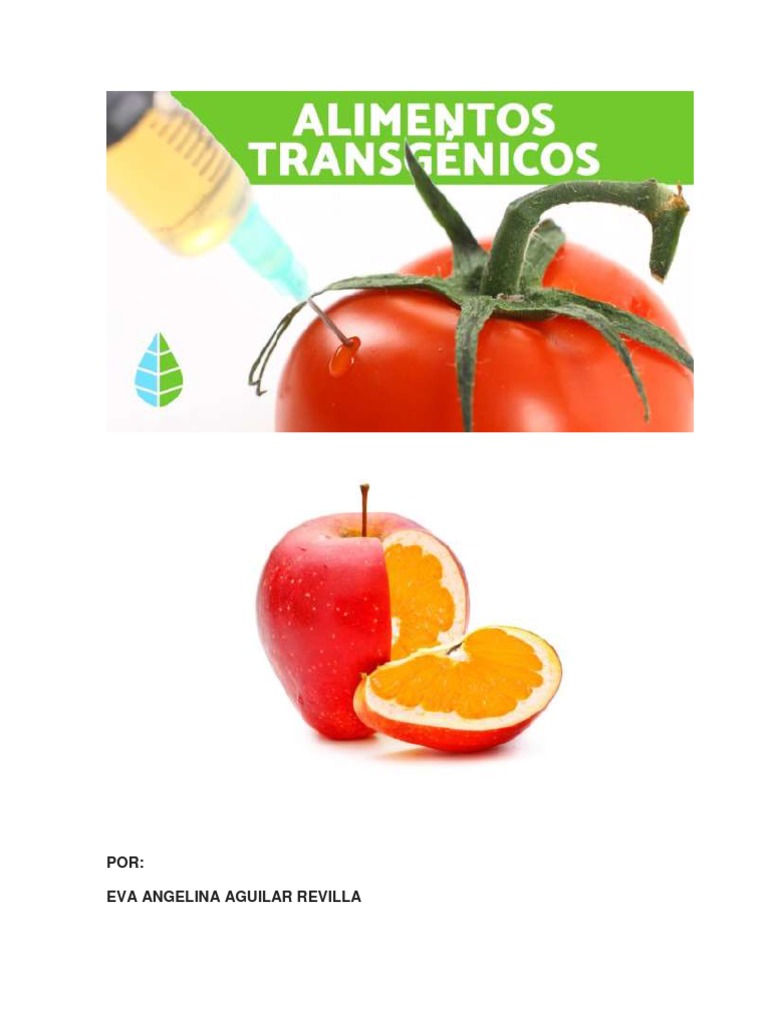 Tarea Eva Qué Son Los Alimentos Transgénicos | PDF | Ciencia y ...