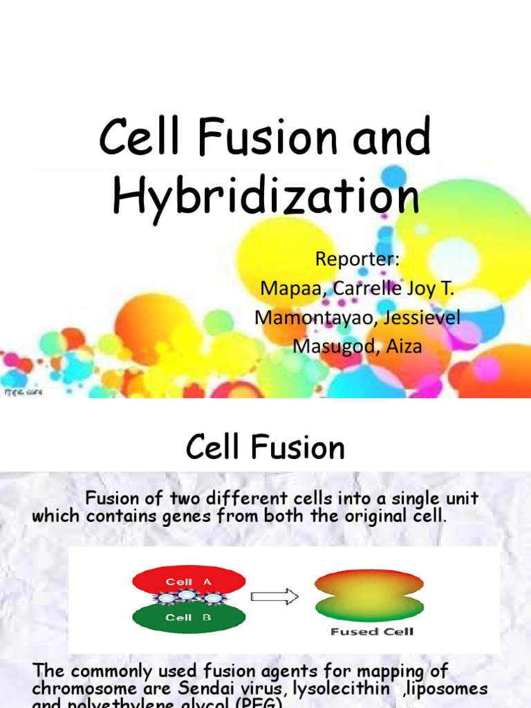 Cell Fusion and Somatic Hybridization | PDF | Hybrid (Biology) | Organisms