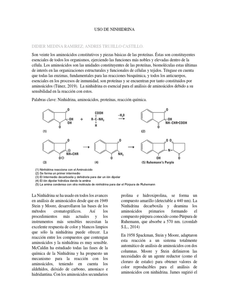 Ensayo Ninhidrina | PDF | Aminoácidos | Proteínas
