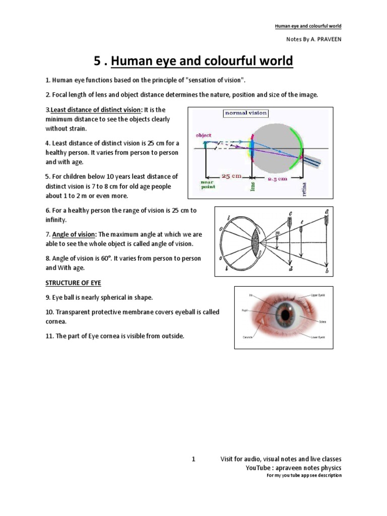 Human eye and colourful world: The amazing vision system | PDF