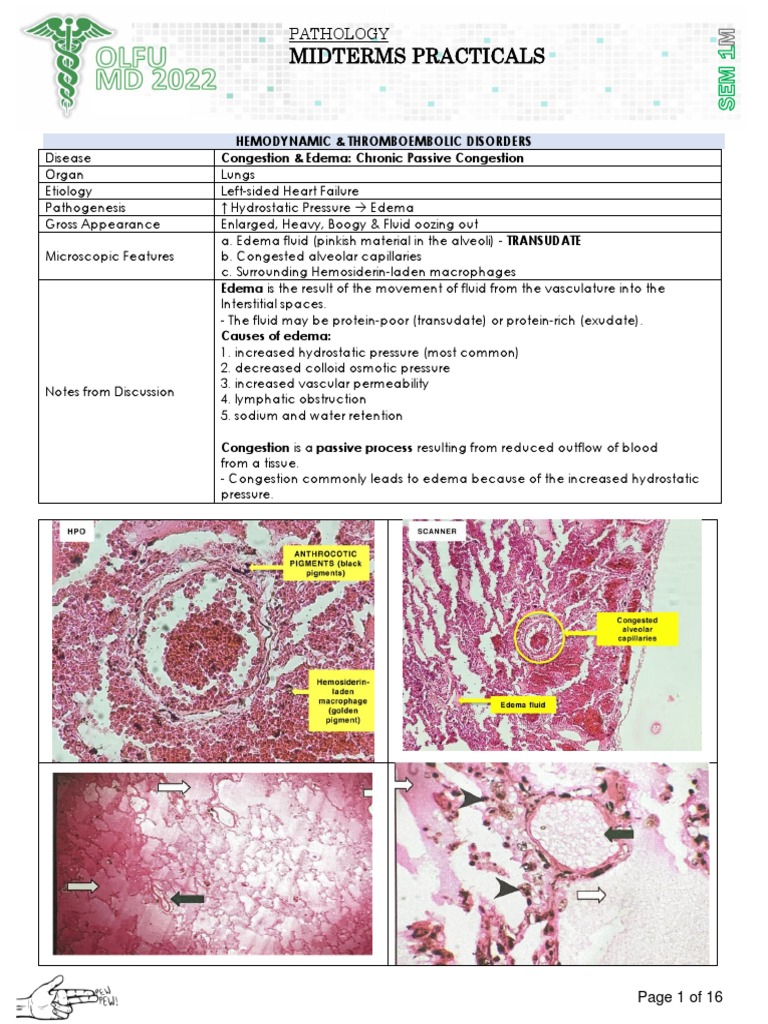 Pathology Midterm Practicals | PDF