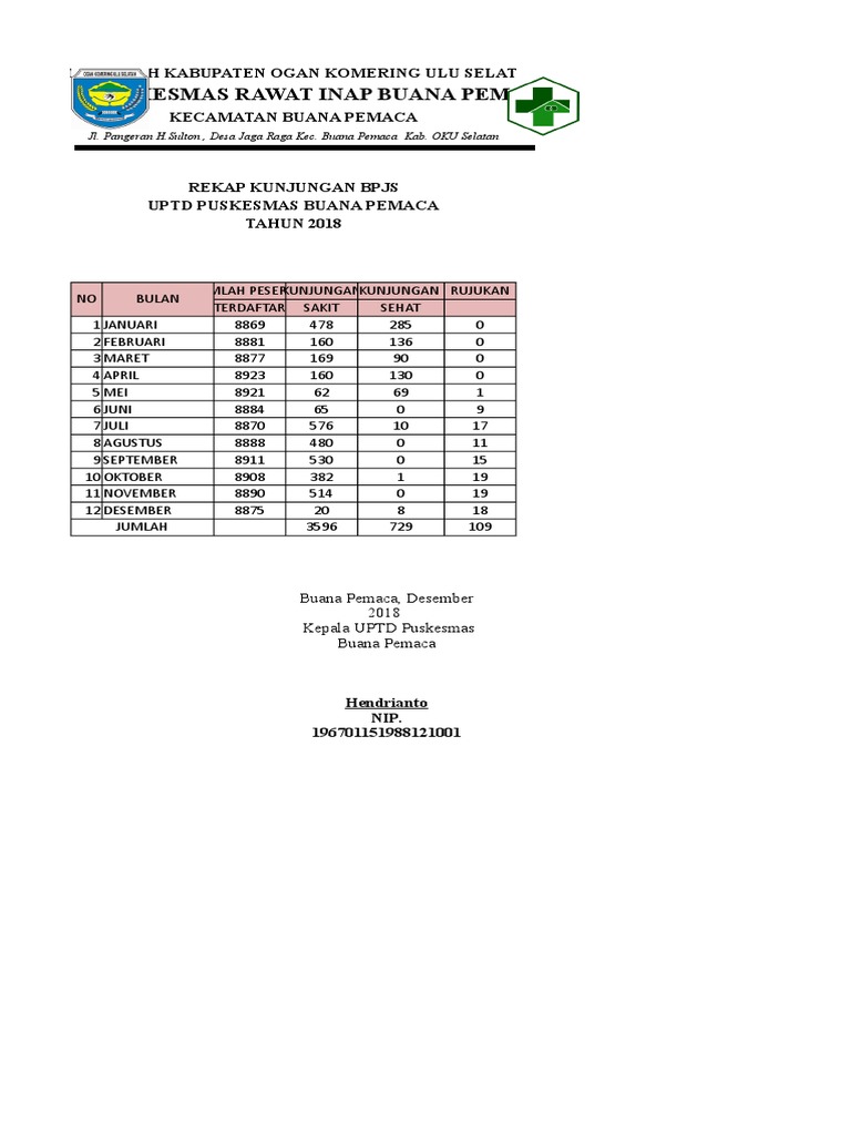 Rekap Kunjungan BPJS Puskesmas 2018 | PDF