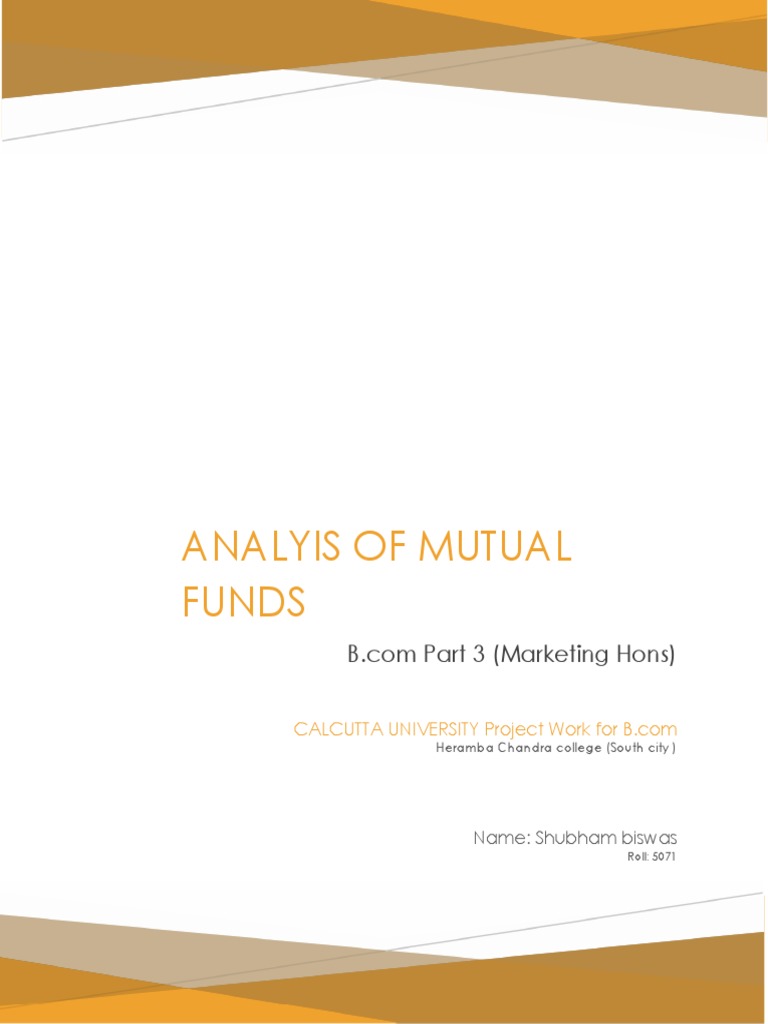 CALCUTTA UNIVERSITY Project Work For B.C | PDF | Career & Growth | Business