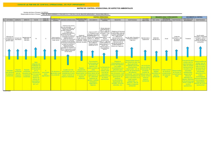Ejemplo Matriz Control Operacional | PDF