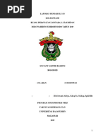 Pathway Cholelithiasis | PDF