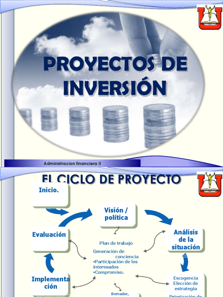 Proceso de Inversión en Proyectos Financieros | PDF