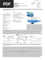 Anatomy and Physiology Cheat Sheet Scioly 2025 | PDF | Muscle ...