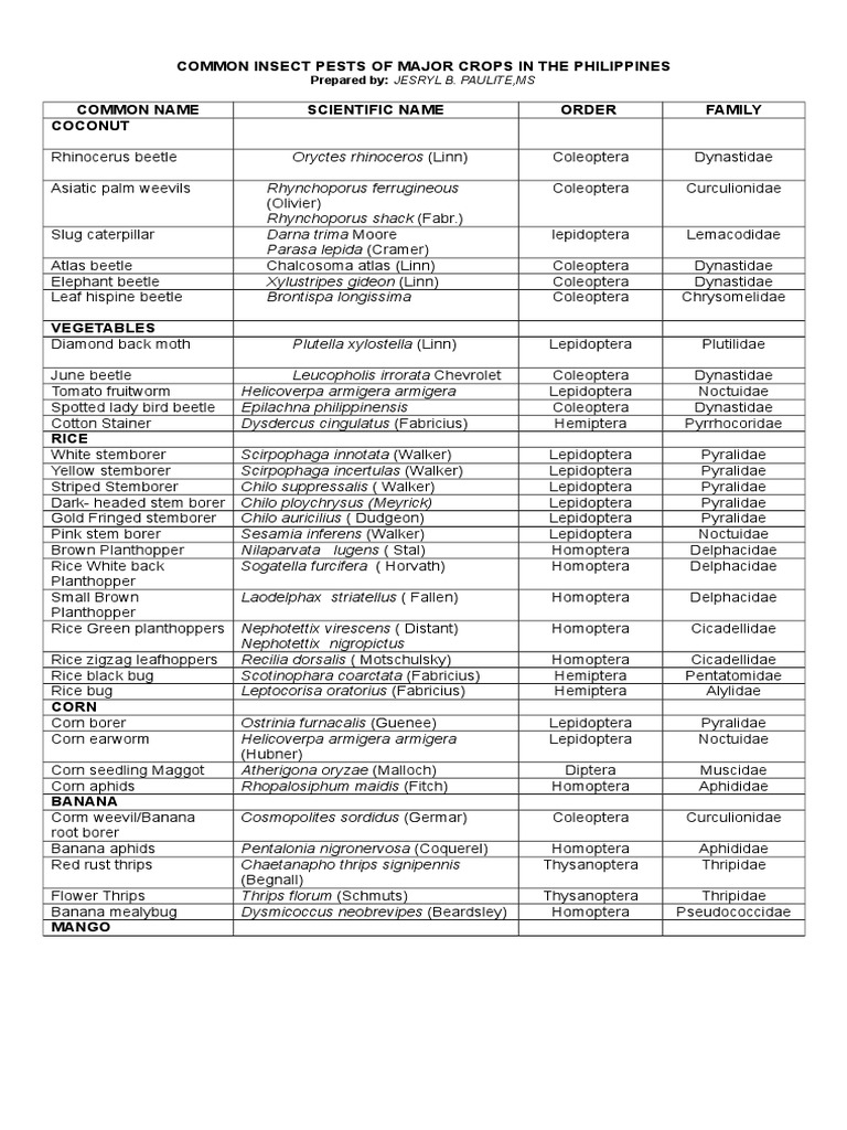 Common Insects of Common Crops in The Philippines | PDF