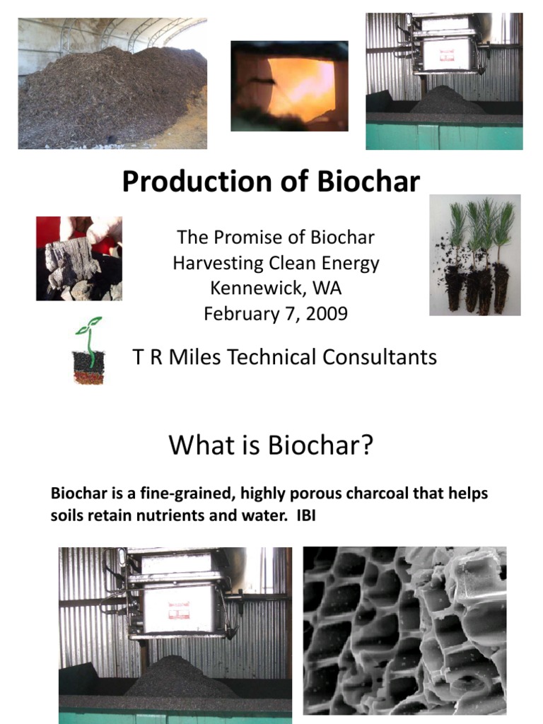 Miles Biochar Production 02.07 | PDF | Gasification | Biomass