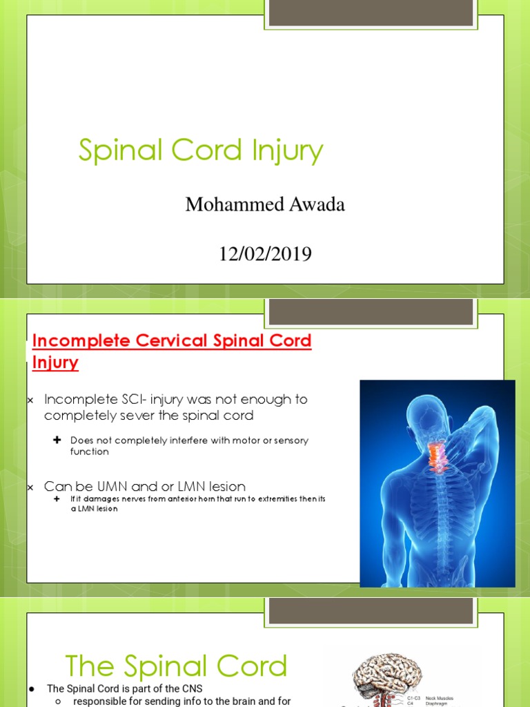 Spinal Cord Injury 1 1 | PDF | Spinal Cord Injury | Vertebral Column