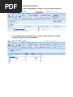 Guia para El Uso de Neodata | PDF