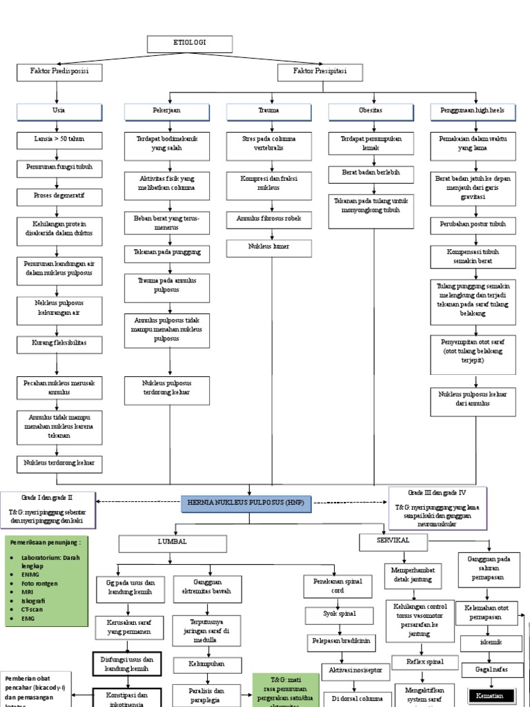 Pathway HNP Panel Tutor | PDF