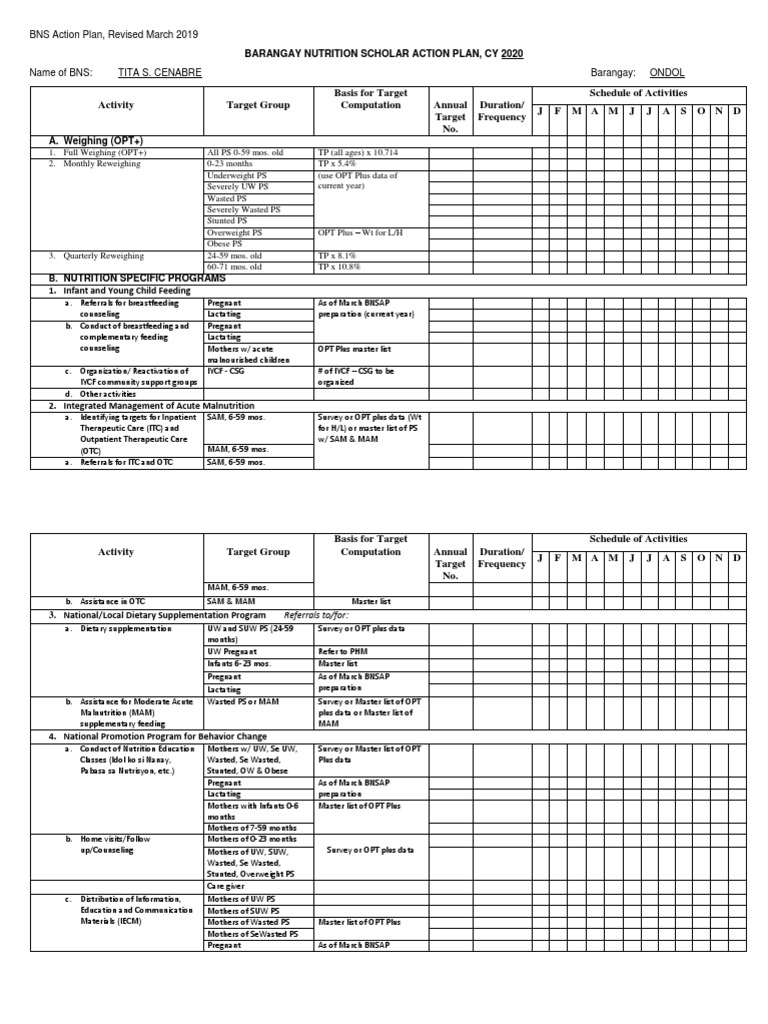 BNS Action Plan | PDF | Malnutrition | Public Health