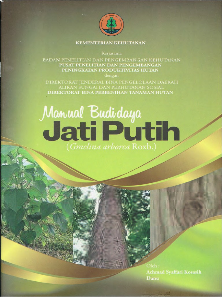 Manual Budidaya Jati Putih-Scan Dan Compres PDF | PDF