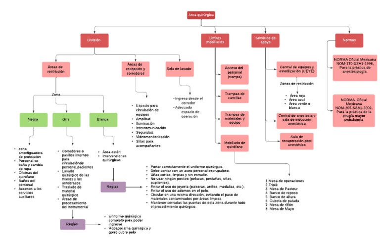 ÁREA QUIRÚRGICA Mapa Conceptual PDF | PDF