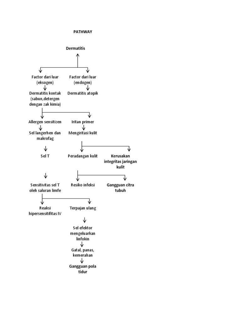 Pathway Dermatitis | PDF