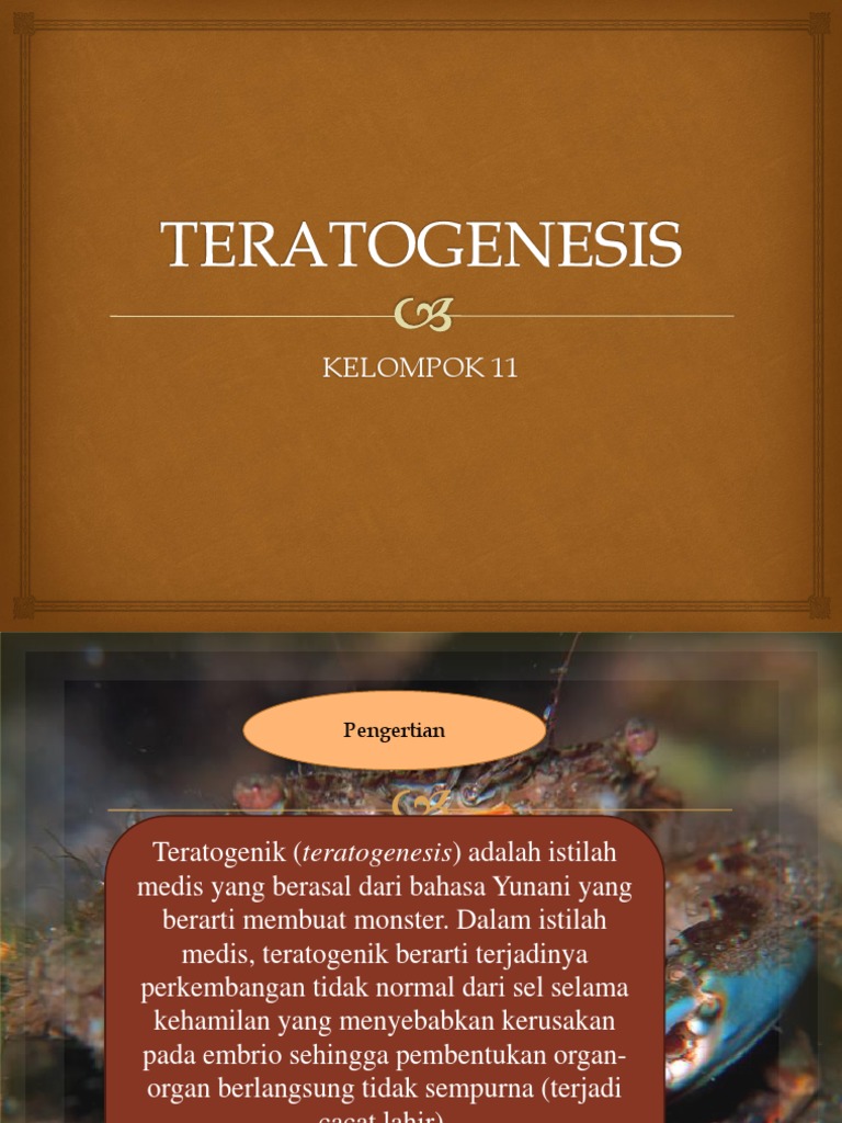 TERATOGENESIS | PDF