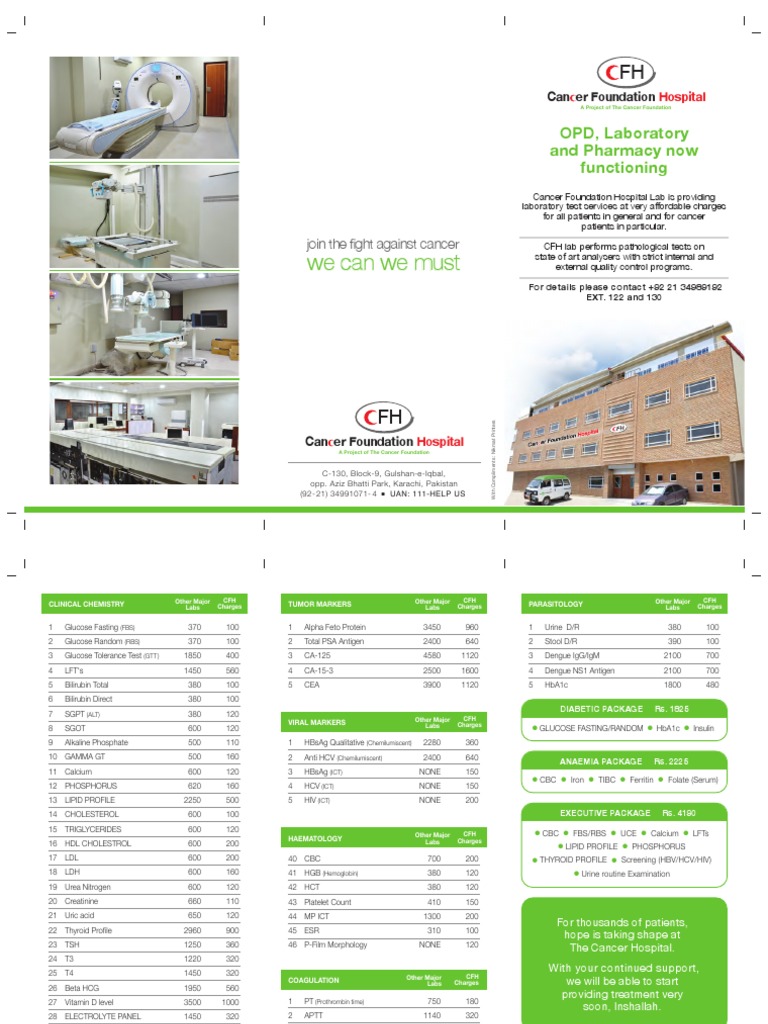 Publications - Test Charges Flyer | PDF