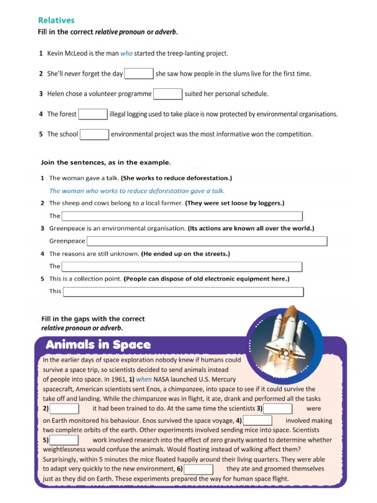 Relative Clauses Activity | PDF