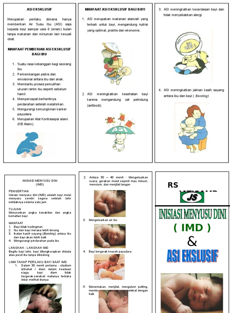 Leaflet Imd Dan Asi Eksklusif | PDF
