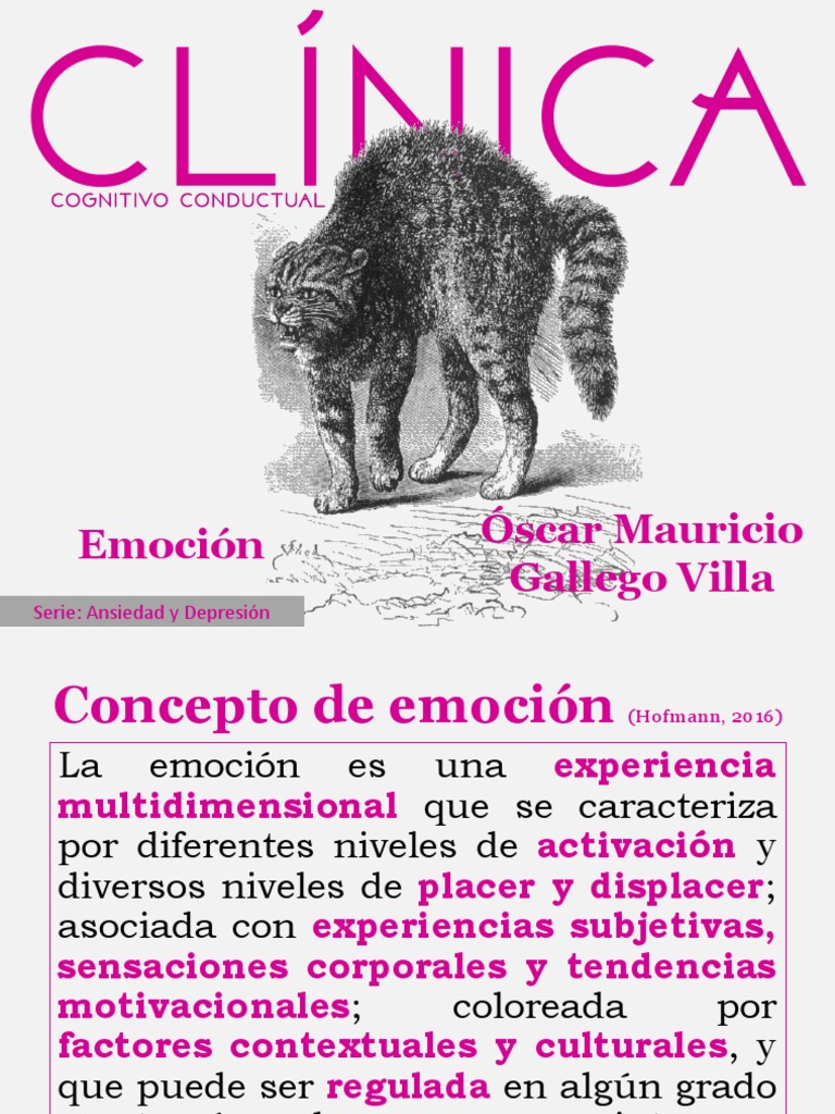 1 Teoría De La Emoción Pdf