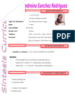 Curriculum - Modelo de Curriculum Venezuela 2014 | PDF | Crecimiento ...