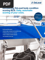 Purina Body Condition Score Diagram | PDF | Abdomen | Pelvis