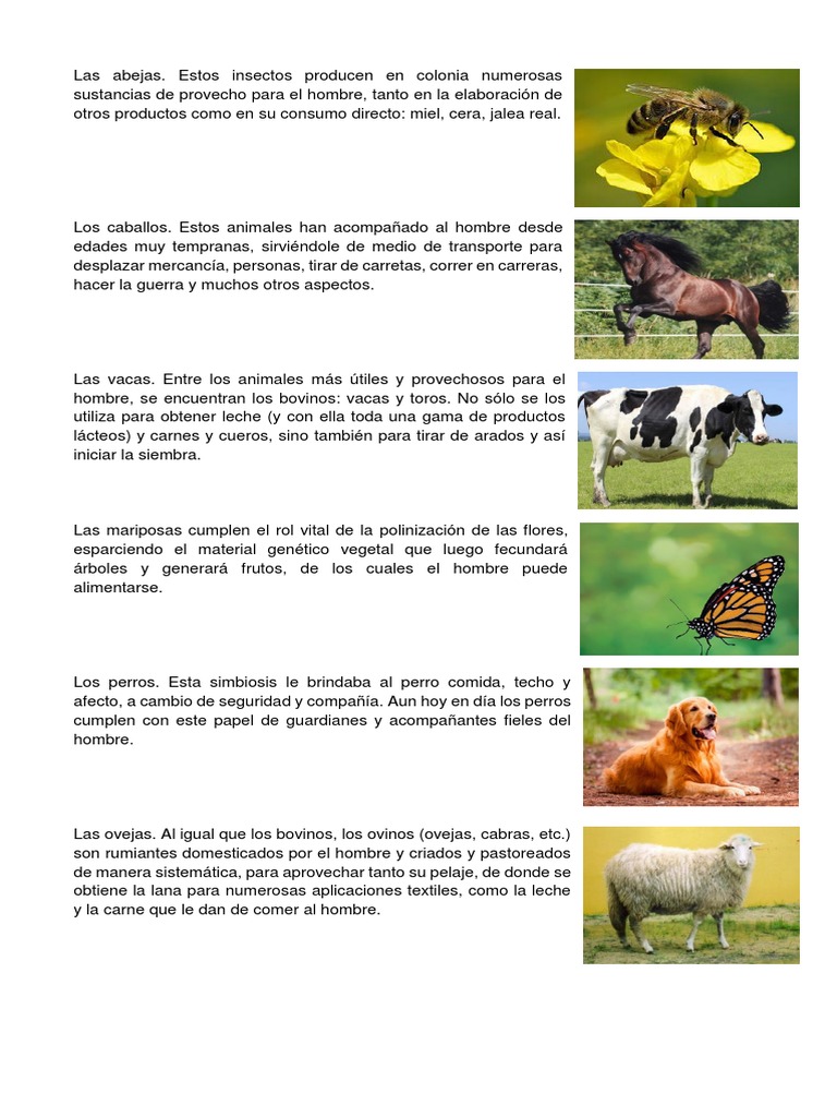 Animales Útiles Al Hombre | PDF