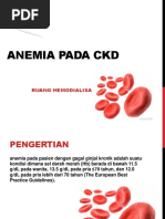 Panduan Pengisian Data Indonesian Renal Registry 2024 | PDF