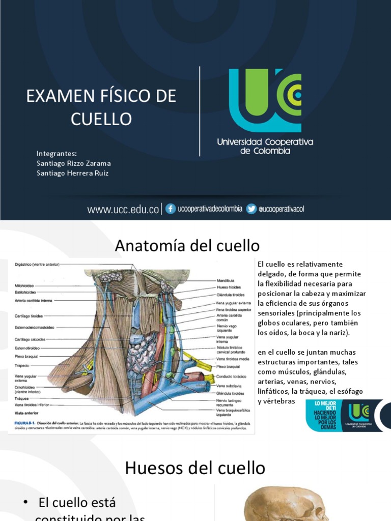 Examen Fisico de Cuello | PDF | Anatomía humana | Cabeza y cuello humanos