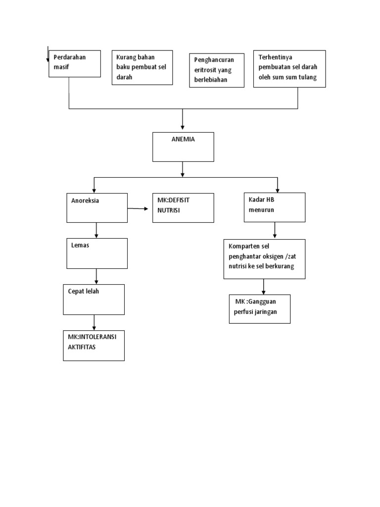 Pathway Anemia Post Partum | PDF